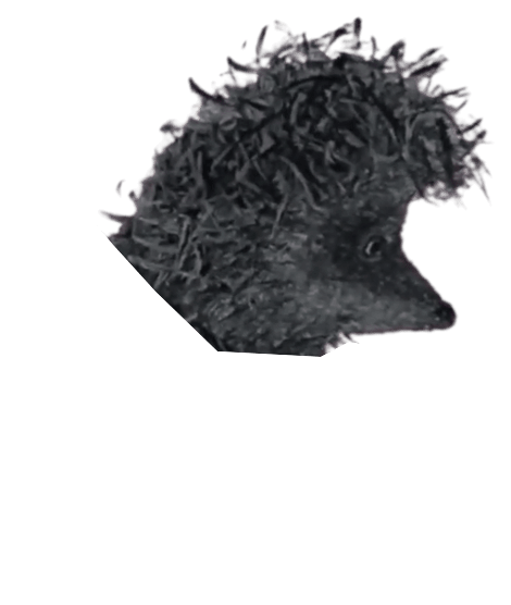 Ёжик в тумане