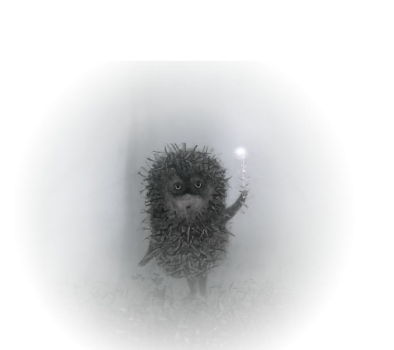 Ёжик в тумане